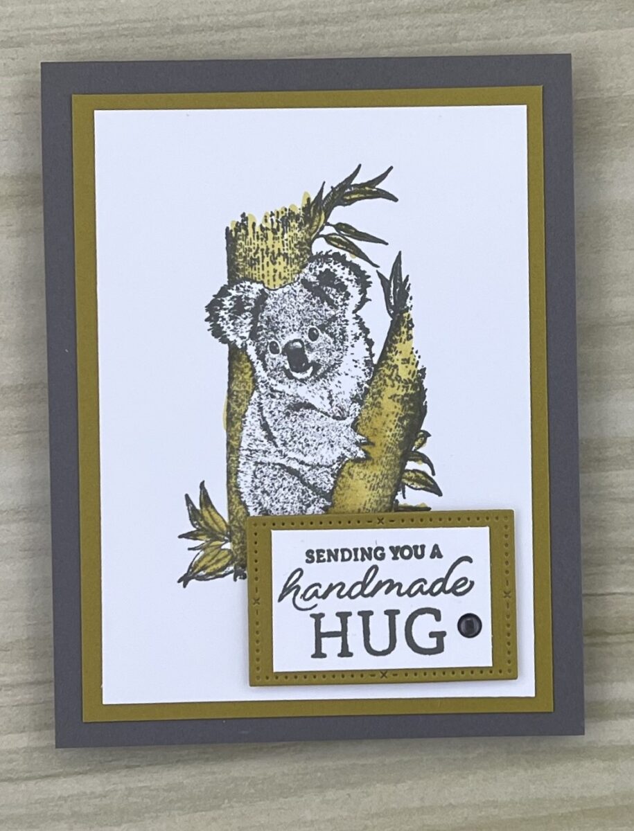 Wild & Sweet Koala - Hugs and Birthday! - Stamp Me Silly